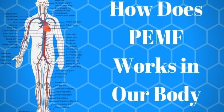 How Does PEMF Work? PEMF Review | PEMF 8000 GLOBAL DISTRIBUTORS