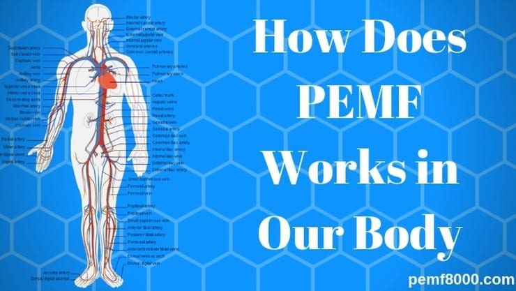 How Does PEMF Work? PEMF Review | PEMF 8000 GLOBAL DISTRIBUTORS